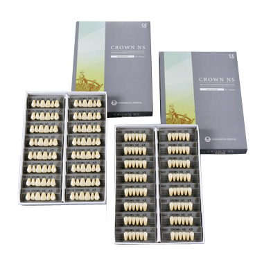 Abbey Dental Supplies - Crown NS Anterior Teeth (1x6)